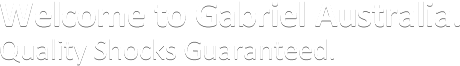 Home | Gabriel Australia